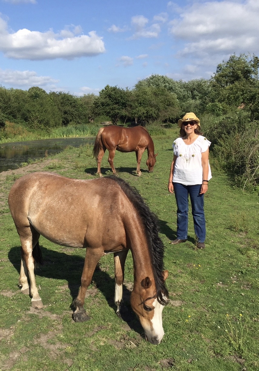 The healing energy of horses and what they taught me